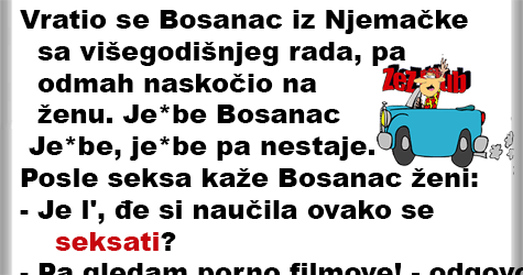 Vratio se Bosanac iz Njemačke – Vicevi